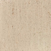 Tarkett iQ Optima | Fishman Flooring Solutions