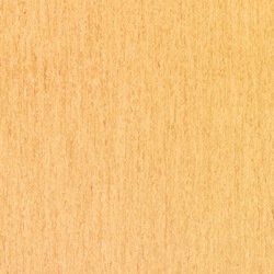 Tarkett iQ Optima | Fishman Flooring Solutions